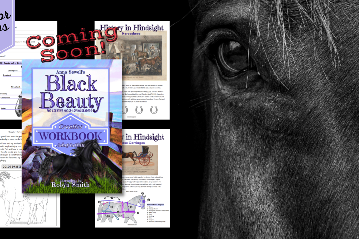 RiseUp Equestrian | Horse Books For Children|Activities and Education